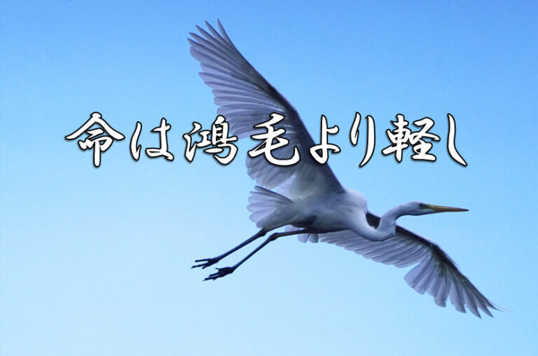 今日のことわざ『命は鴻毛より軽し』の意味、由来、類義語、対義語、使い方、英語表現などをエピソード付きで徹底解説！